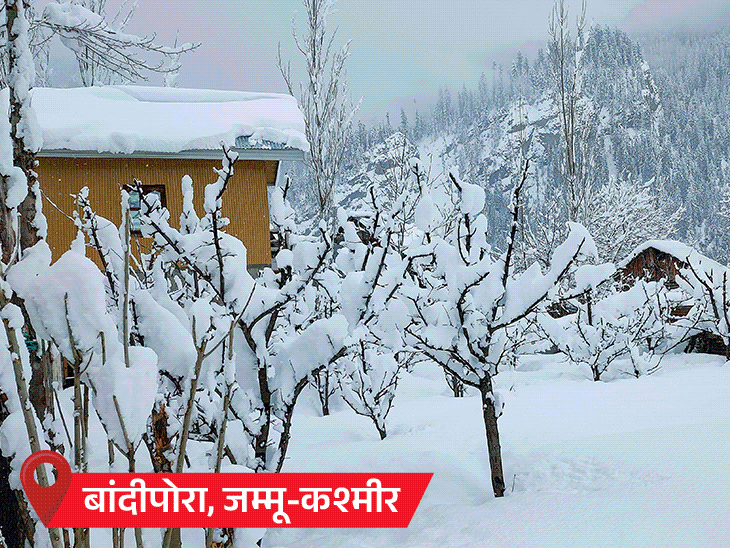 IMD Weather Update; Kashmir Snowfall | Rajasthan-UP MP Cold Wave Alert ...