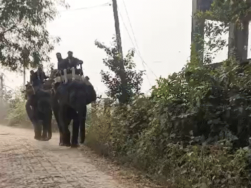 Victim kept in CISH campus in Lucknow