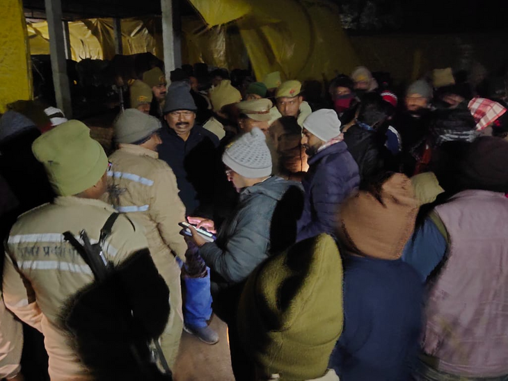 Cows died due to cold and hunger | बरेली में ठंड और भूख से गायों की मौत ...