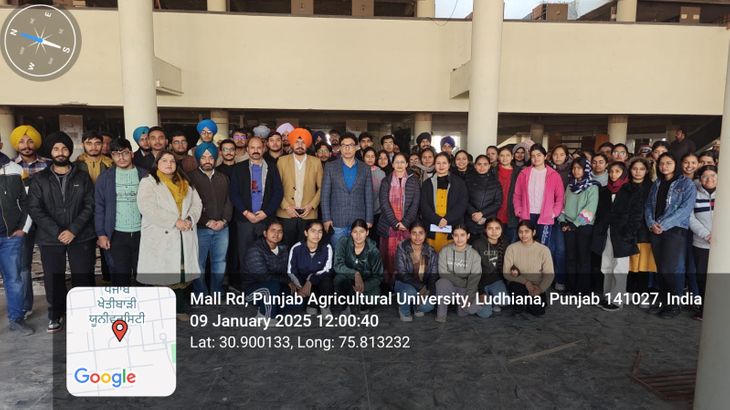 Third day of NSS camp: Tried to enhance the view by painting the trunks ...