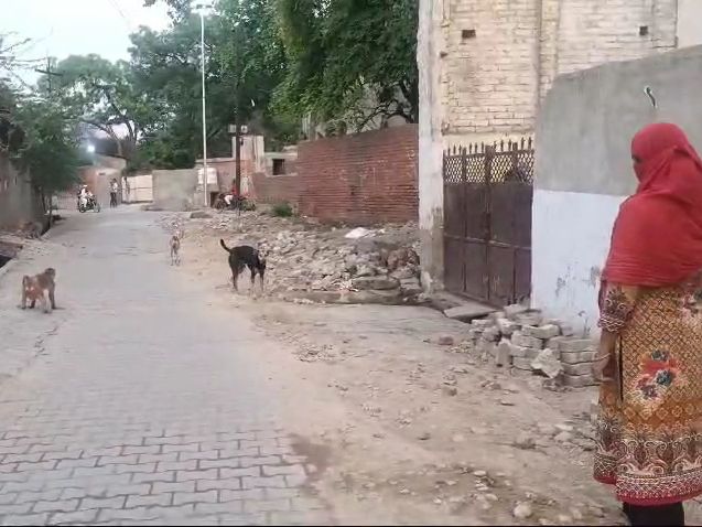 Dangerous attack by monkeys in Mathura Homeguard died | बलदेव में ...