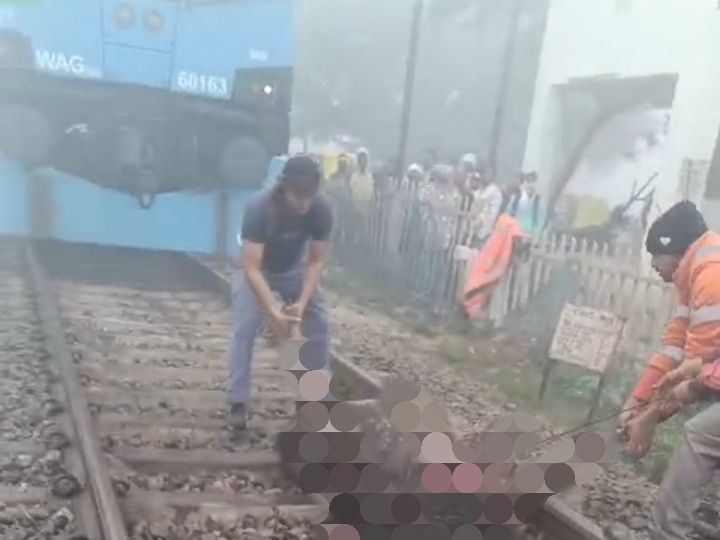 2 cows died after being hit by a train | ट्रेन की चपेट में आने से 2 ...