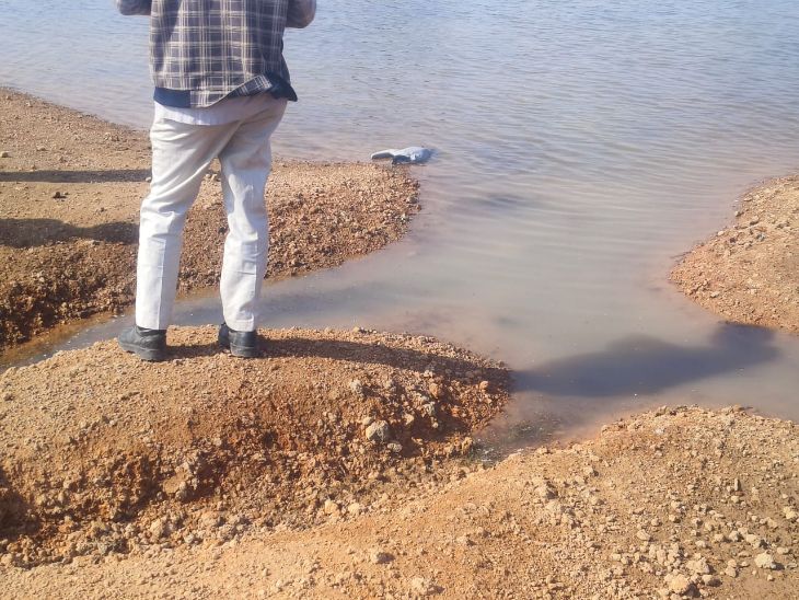 4 more dead Kurja birds found in Jaisalmer | जैसलमेर में 4 और कुरजा मृत ...