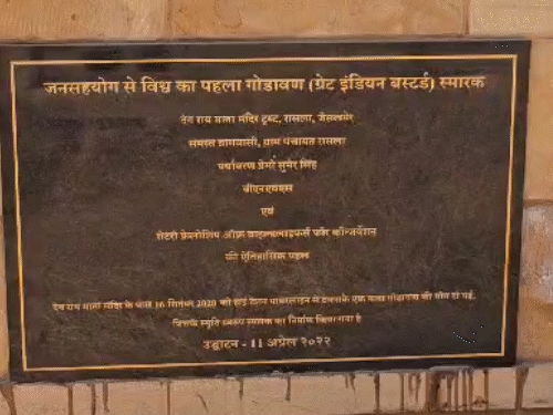 Rajasthan Jaisalmer Godawan Bird Statue Historical Facts | Jaisalmer ...