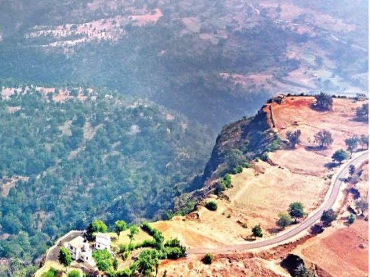 The mysterious world of Patalkot has a treasure of more than 200 rare herbs