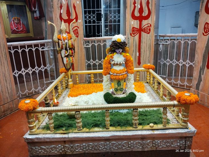 Special tricolor decoration of Pahadi Baba | पहाड़ी बाबा का विशेष ...