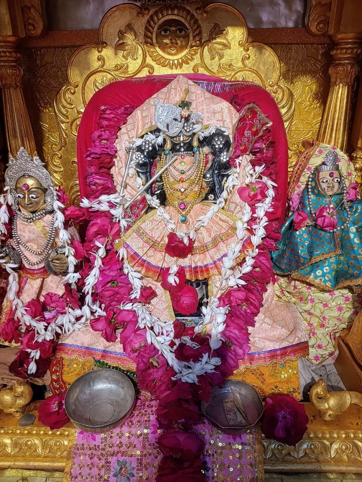 Shreeji Dhwaj Mahotsav... For the first time in 544 years, a procession ...