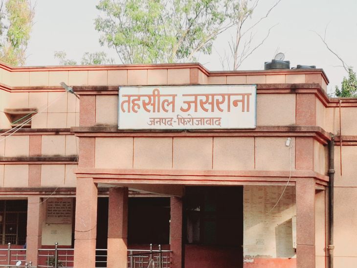 Farmers' crops are in danger in Jasrana | जसराना में किसानों की फसलें ...