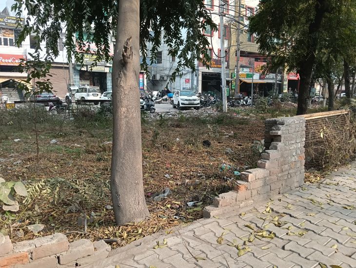 The ruined green belt from Workshop Chowk to Bist Doab Canal