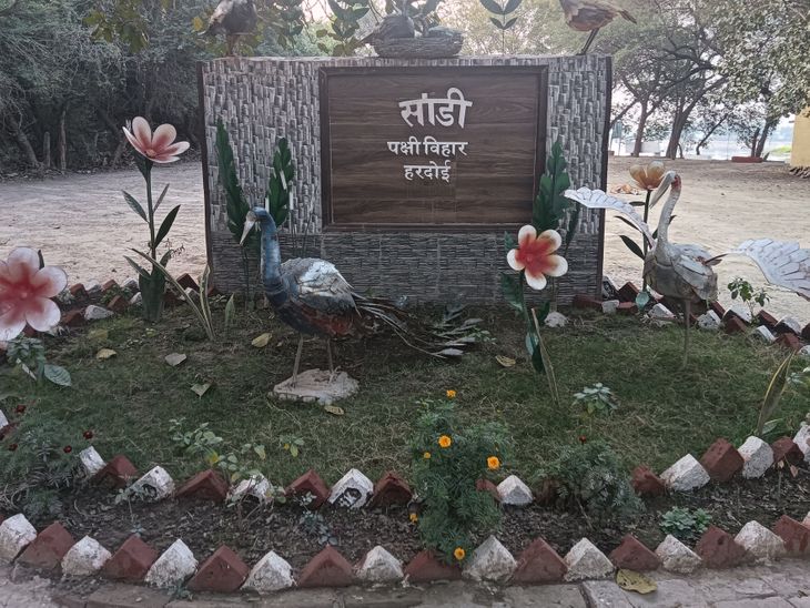 Sandi Bird Sanctuary has become the biggest destination for foreign ...