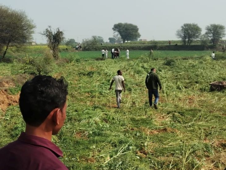 Illegal occupation removed from 25 bigha pasture land dholpur Rajasthan | 25 बीघा चारागाह भूमि ...