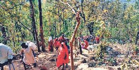 75 thousand devotees reached Gupta Dham in 24 hours | 24 घंटों में 75 ...