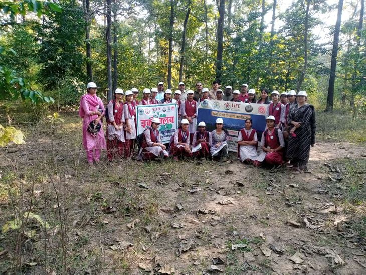 Bird watching camp in the forests of Seoni Malwa | सिवनी मालवा के जंगल ...