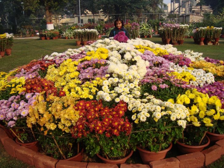 Kapurthala Science City Flower Mela 14 February | कपूरथला साइंस सिटी ...
