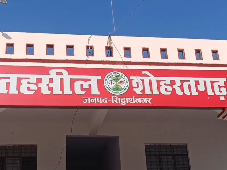 A modern fish market will be built in Shohratgarh | शोहरतगढ़ में बनेगी ...