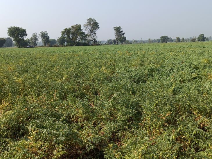 The temperature in Manawar reached 34 degrees | मनावर में तापमान 34 ...