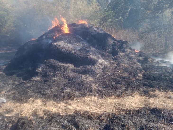 Anti-social elements set fire to Puwal | असमाजिक तत्त्वों ने पुवाल में ...