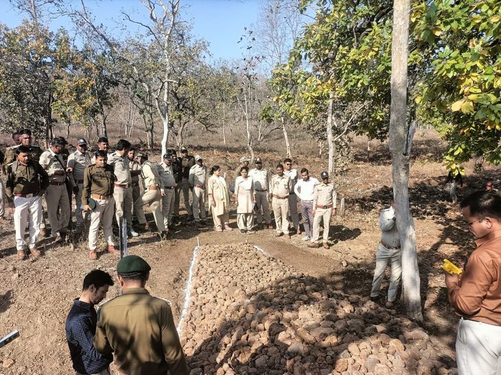 150 forest workers got training on tree plantation and water ...