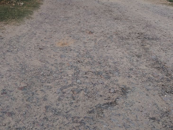 The road to Garhi Majra Challenge village is in bad condition | गढ़ी ...