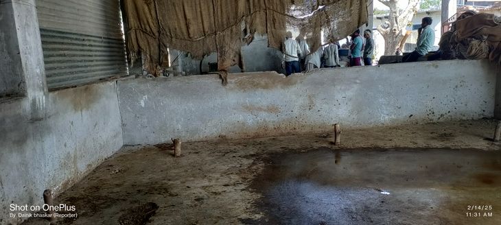 The animals of the bullies are being tied in the segregation shed ...