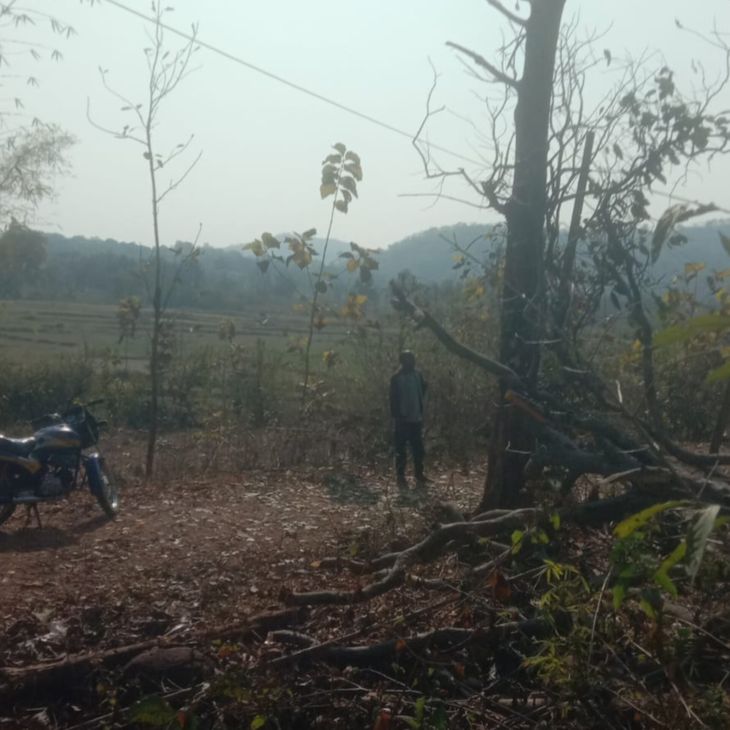 Electricity restored in Sonua after 18 hours, people get relief | सोनुआ ...