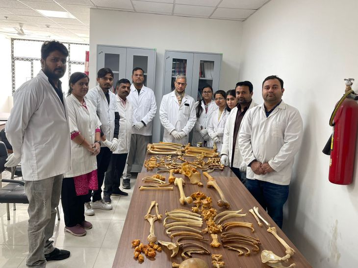 Medical college made 300 real bones
