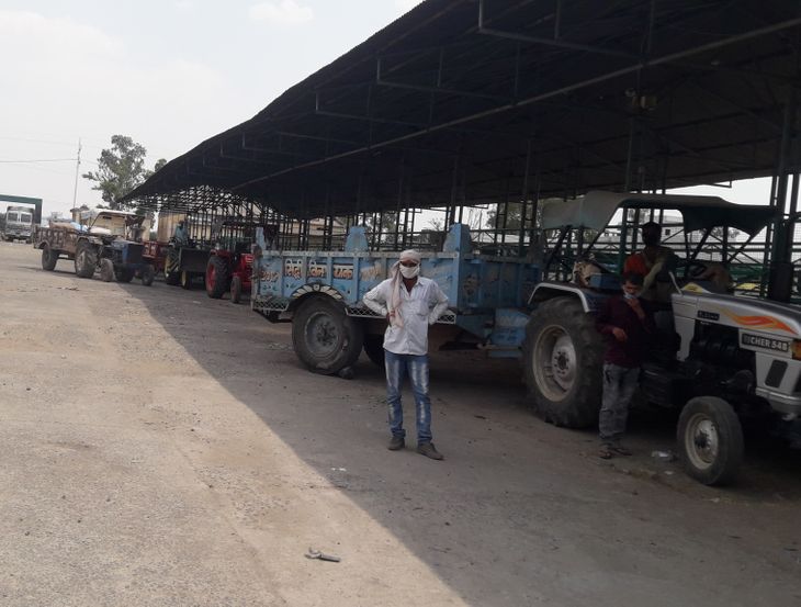 The first wheat of the season arrived in Krishi Upaj Mandi, sold at Rs ...