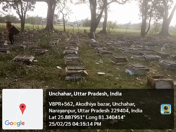 Success story of two youths of Unchahar | ऊंचाहार के दो युवकों की सफलता ...