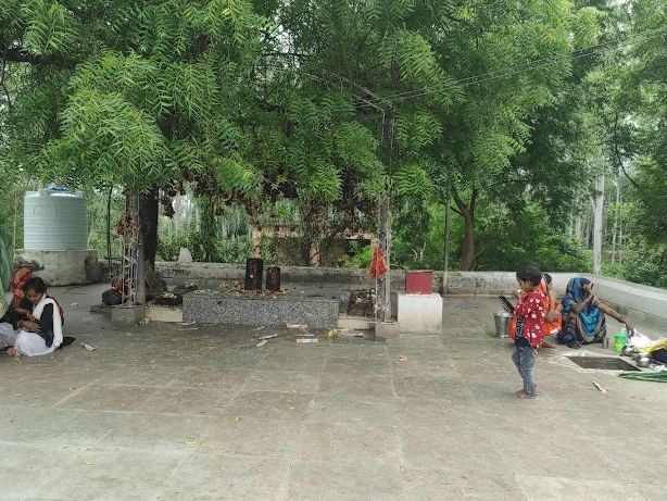 The mysterious sparrow Baba Dham of Raebareli | रायबरेली का रहस्यमयी ...