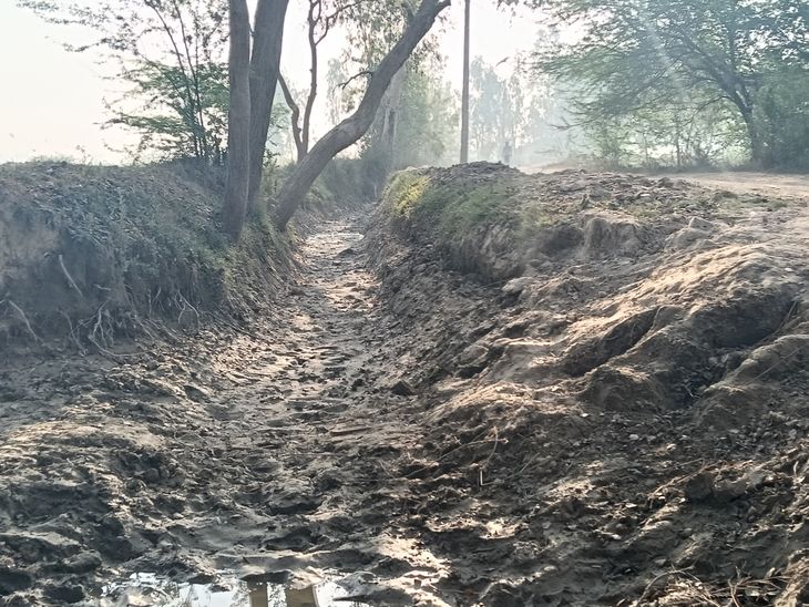 The canal in Balipur village has been dry for months | बालीपुर गांव में ...