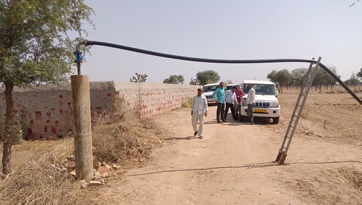 Water mafia; Farm farm pound full of isabgol was cultivated in 500 ...