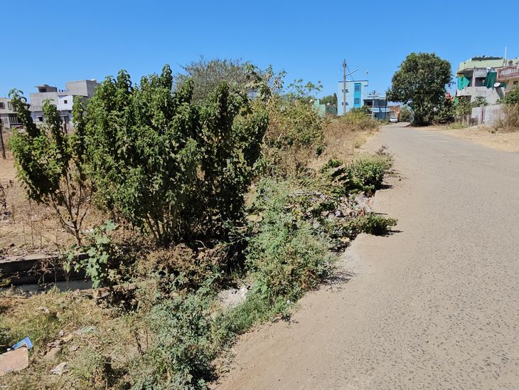 Drains have not been cleaned in Multai for one and a half years ...