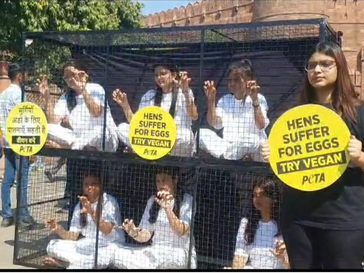 Girls held a protest in front of Agra Fort against caged chickens, PETA ...