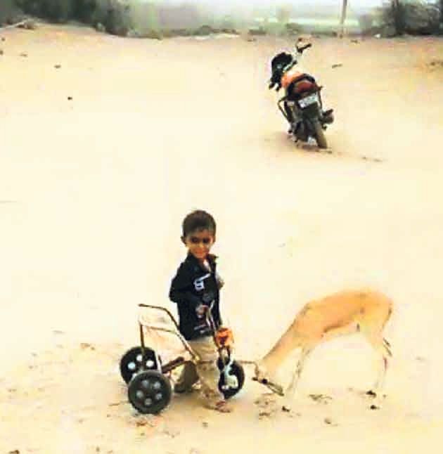 Dear Mother... After being separated from the mother at birth, Sakina ...