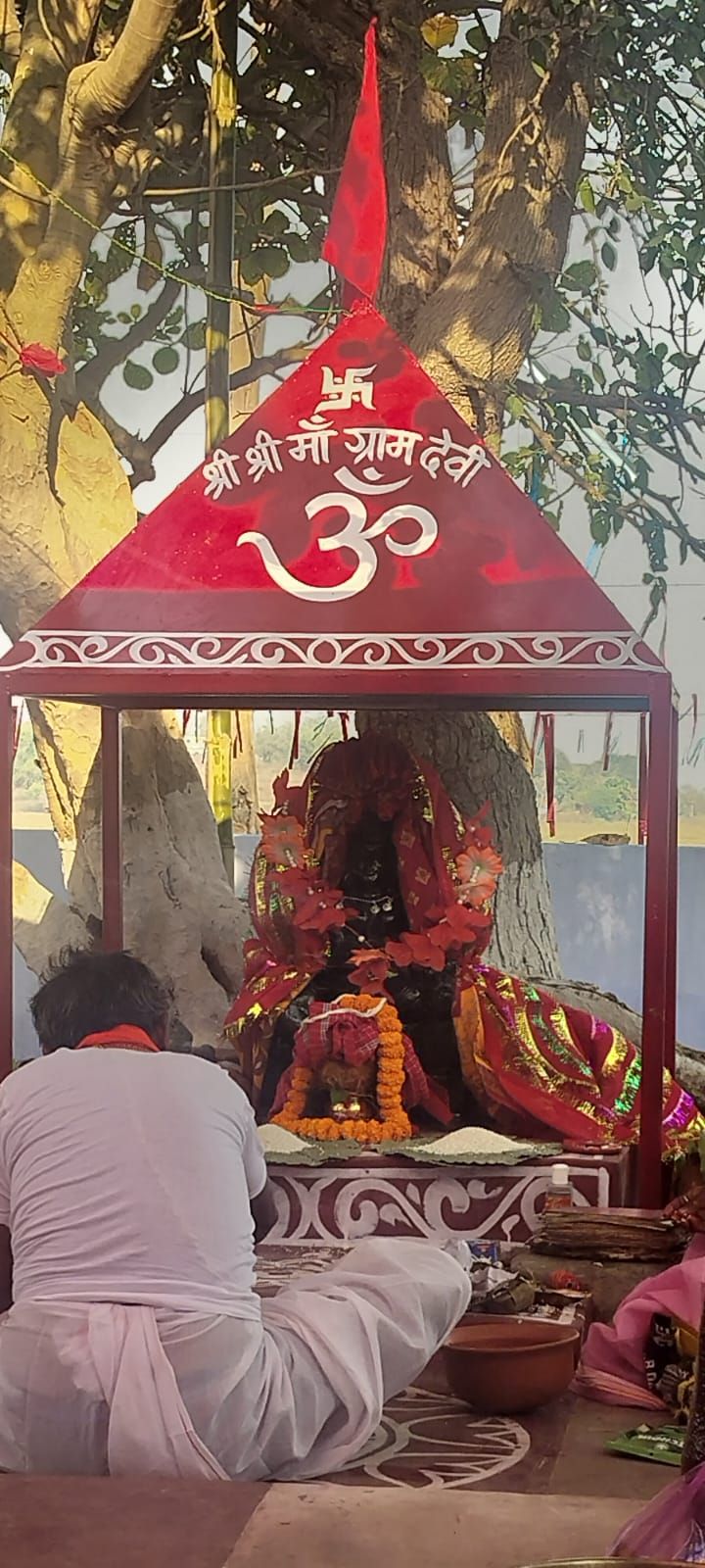 Mother Gram Devi idol was established in Arjunpur of Sonua | सोनुआ के ...