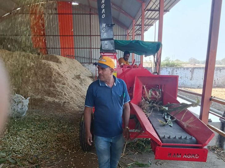 Unique model of government cowshed in Singhana of Manawar | मनावर के ...