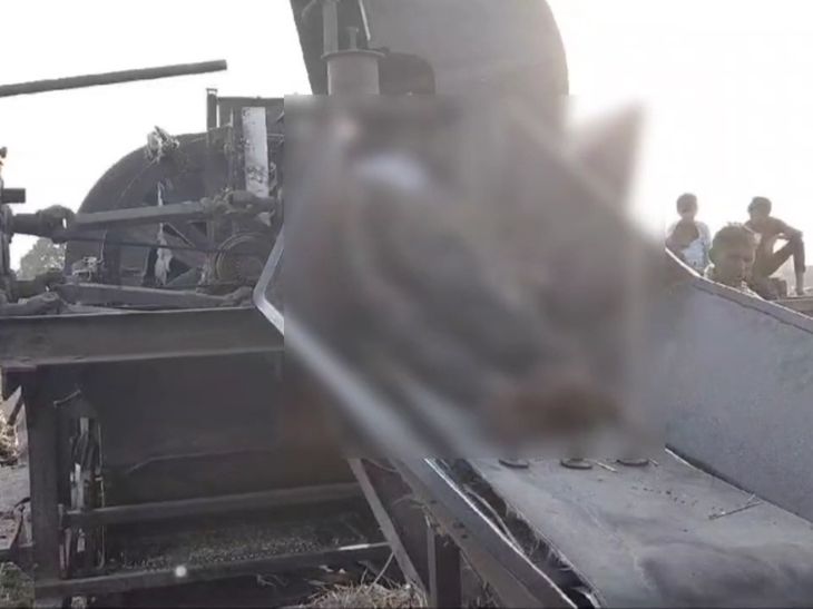 A young man died after his hand got stuck in a thresher | थ्रेसर में ...