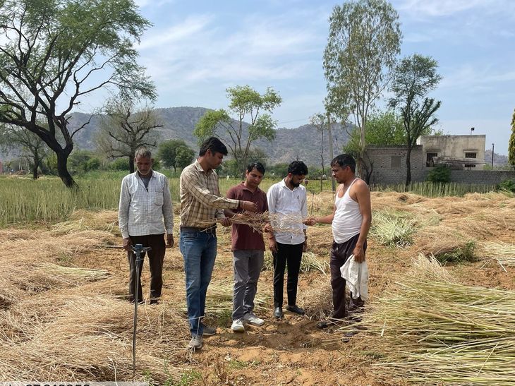 Farmers suffered losses due to hailstorm in Bansur