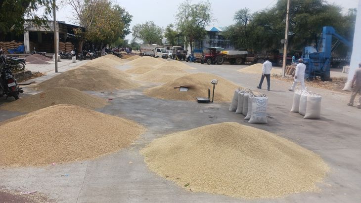5 thousand sacks of barley arrived, the arrival of mustard was also 4 ...
