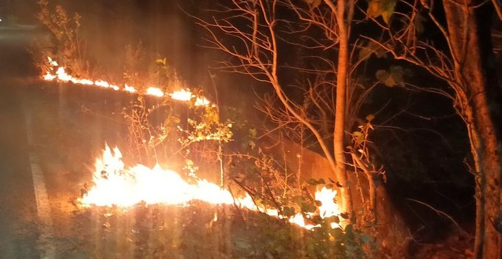 Forests of Korea-MCB district are burning: 64 beats are in the grip, no ...