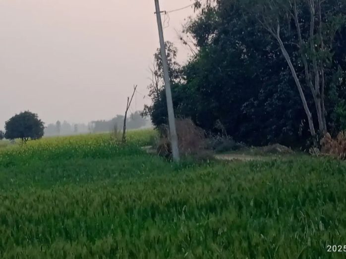 Electricity poles have been broken in Narhiya for months