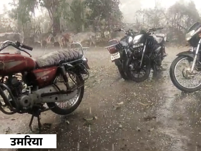 MP Weather Update; Mandla Balaghat Rainfall Forecast | Bhopal Indore ...