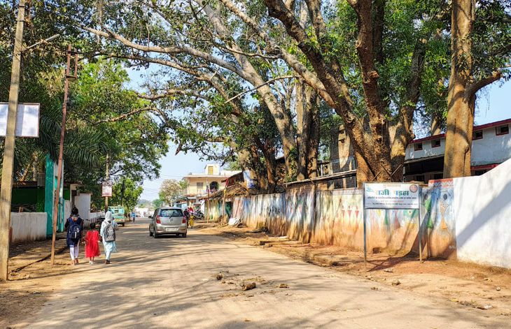 The branches of the dry trees of Deepu plantation are hanging over the ...
