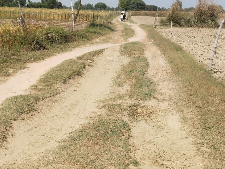 The main road of Majra Sadkheda is in bad condition | मजरा सादखेड़ा की ...