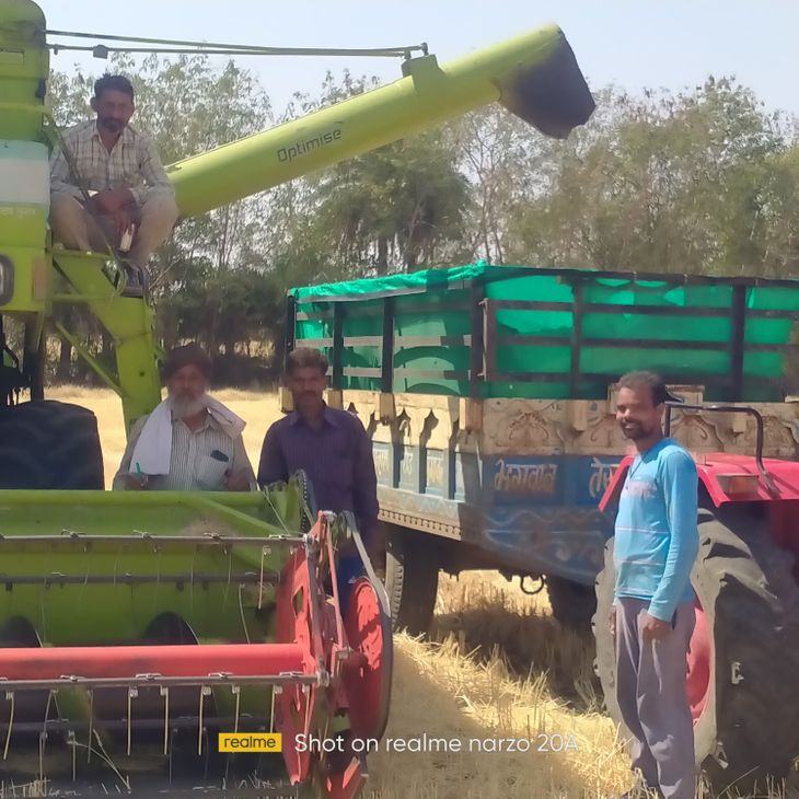 Wheat harvesting is in full swing in the area | क्षेत्र में गेहूं की ...
