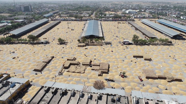 Baran Mandi full due to bumper arrival of 4 lakh sacks of wheat ...