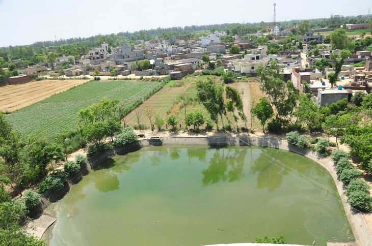 Sant Seechewal said- 'Thapar model' created by engineers fails ...