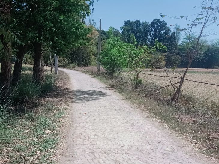Electricity is hanging on the road in Bargadi for two months