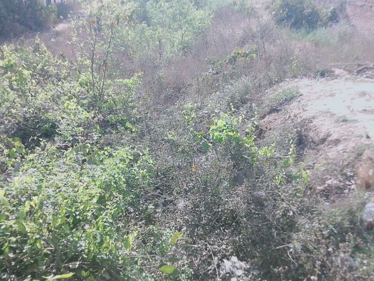 Incomplete cleaning of Saryu Minor Canal