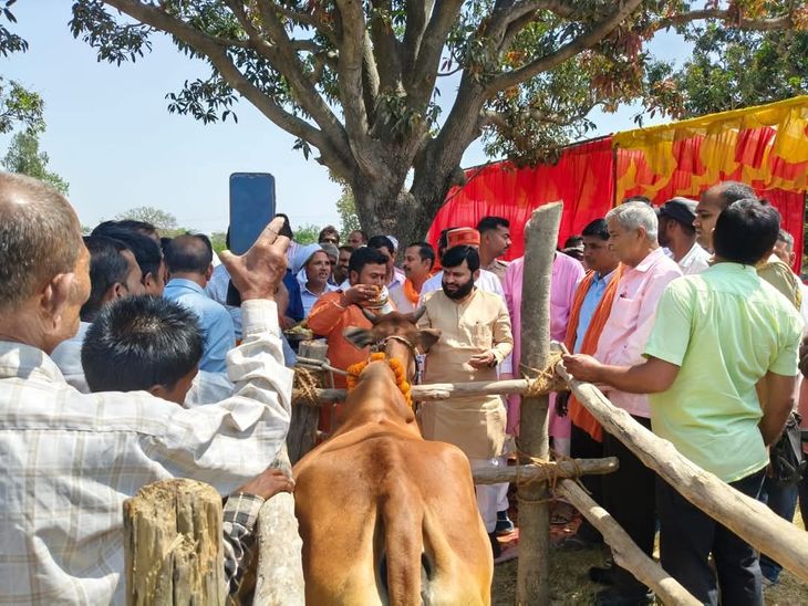 Animal health fair inaugurated in Bikapur | बीकापुर में पशु आरोग्य मेला ...
